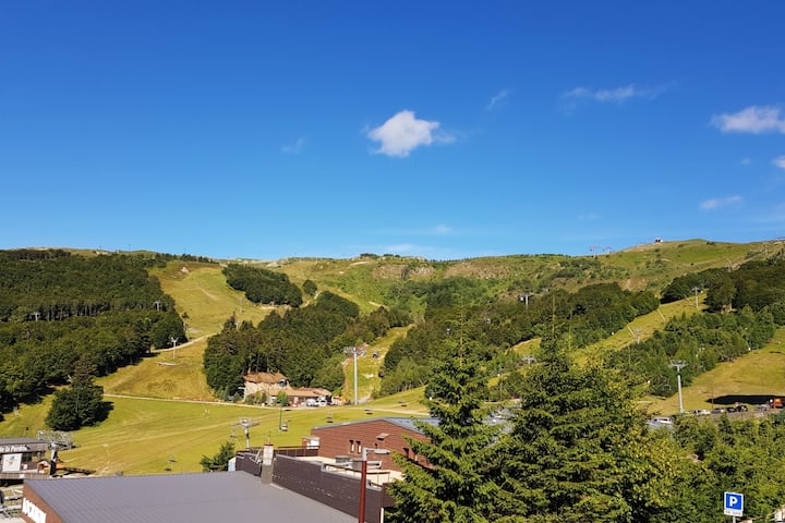 Charmant T1 Bis à Super Besse - Besse-et-Saint-Anastaise