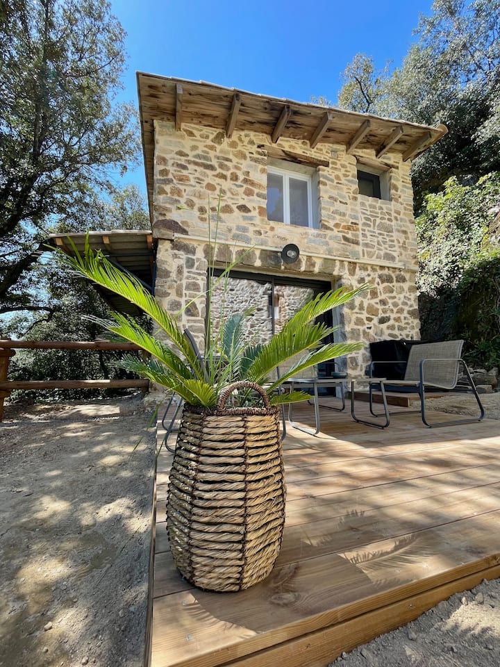 Grand Gîte Le Mas Guillemette - Occitanie
