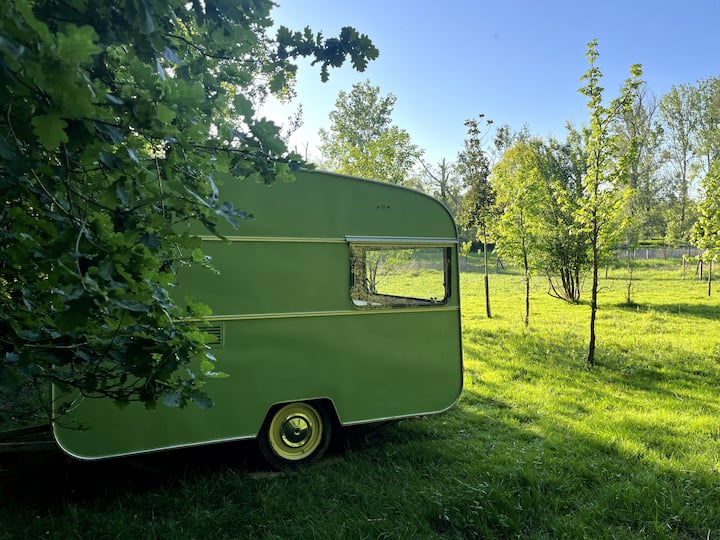 Cocon 60's Pleine Nature - Langon
