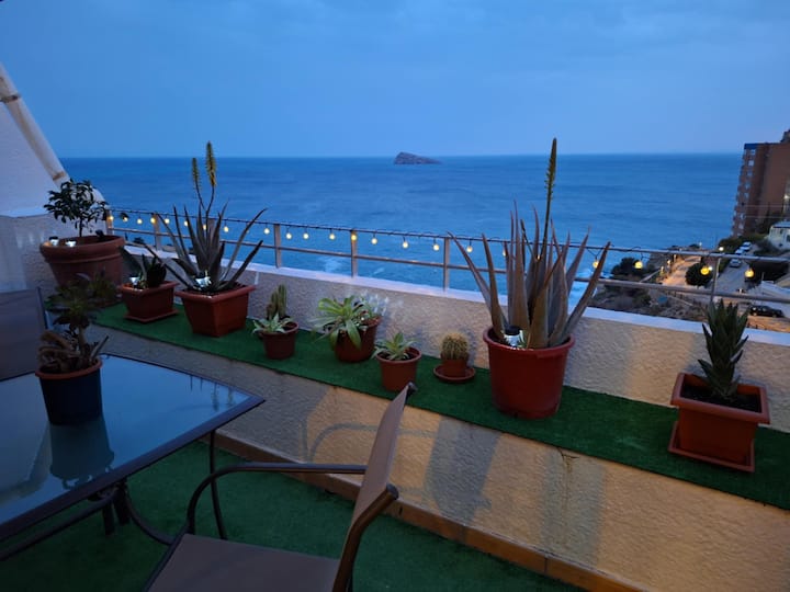 Observador De Delfines - Benidorm