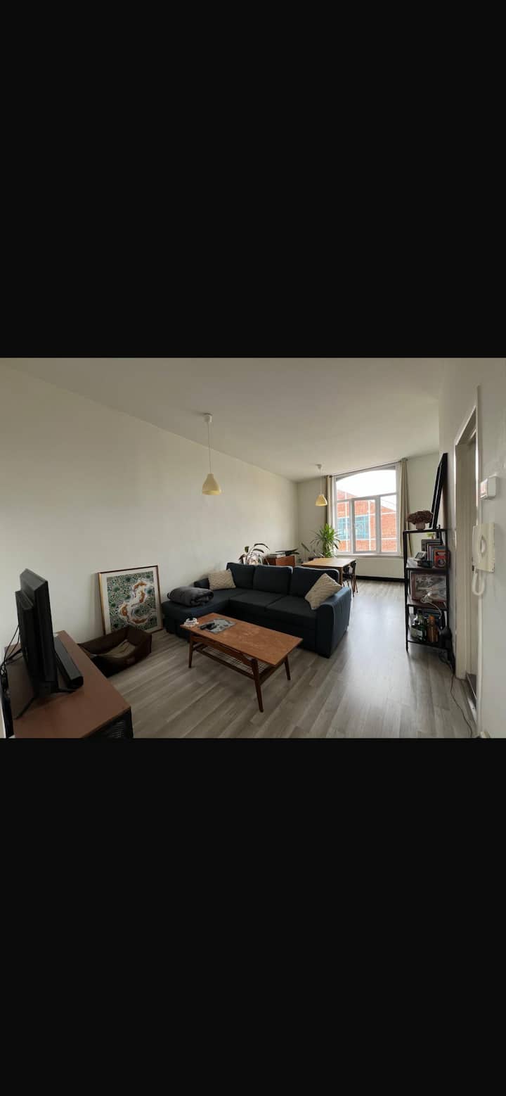 Agréable Appartement à Ixelles - Ixelles