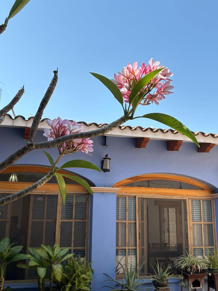 Casa Olí, Mi Casa Es Tu Casa. - Oaxaca
