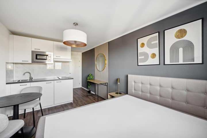 Top-studio Im Zentrum Von Basel - Basel