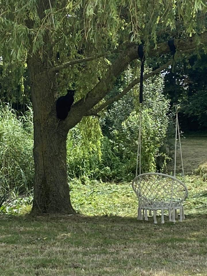 Le Refuge Normand - Bolbec