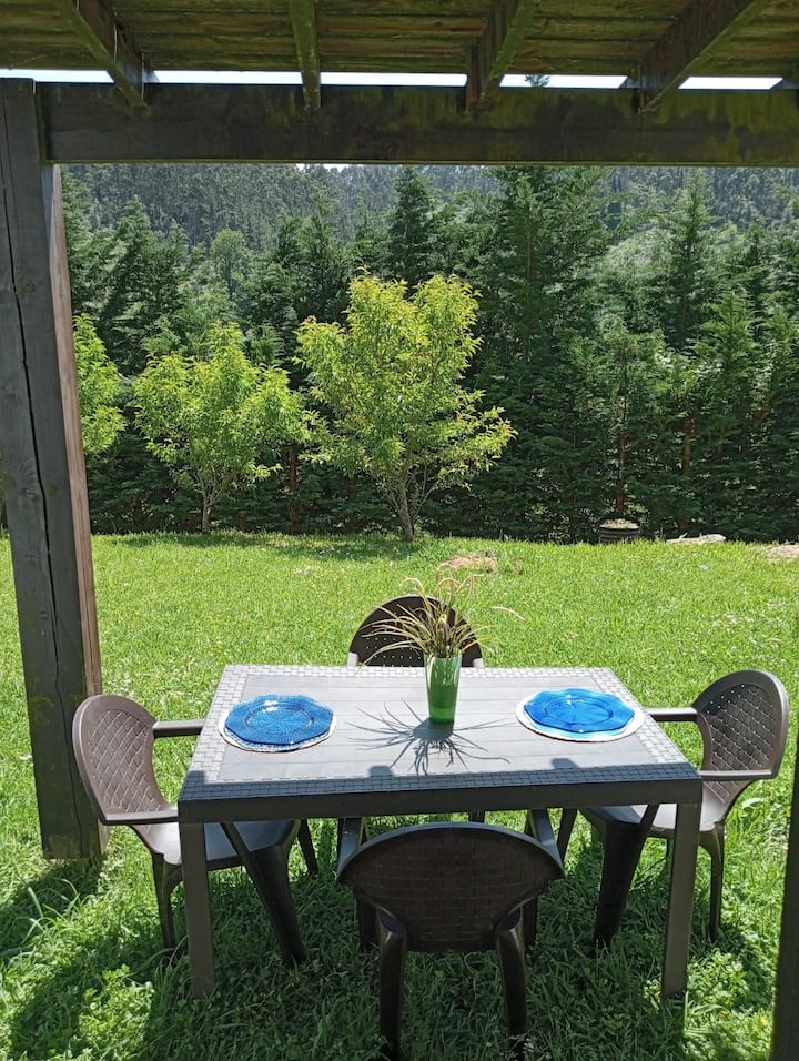 Preciosa Habitación Con Jardín - Ondárroa