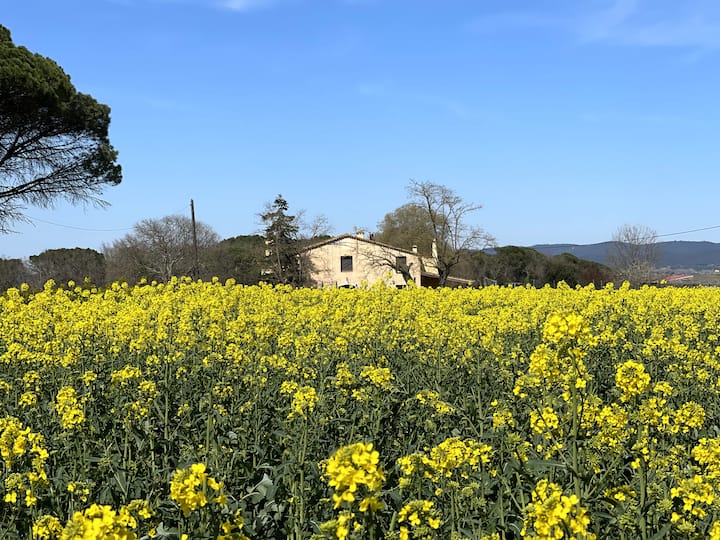 Mas Gelabertó - Casa Rural - Caldes de Malavella