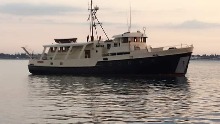 Ancienne Vedette De 1957 - Pénestin