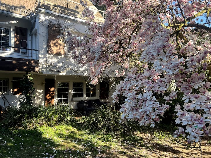 Garden Sanctuary In Heidelberg - Heidelberg