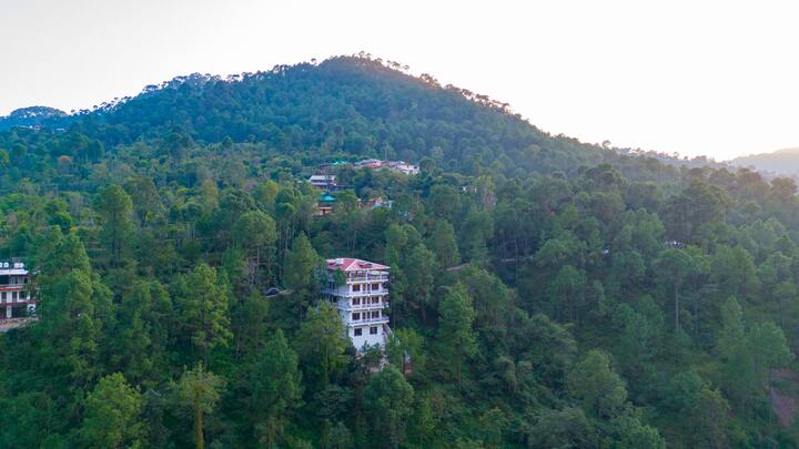 Kasauli Willow |7bhk|naturally-cool |Party-perfect - Solan