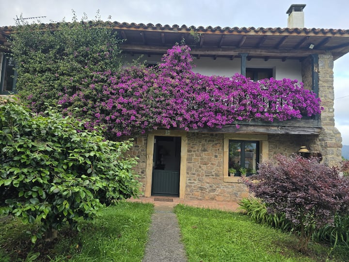 La Caleya De Abajo - Villaviciosa