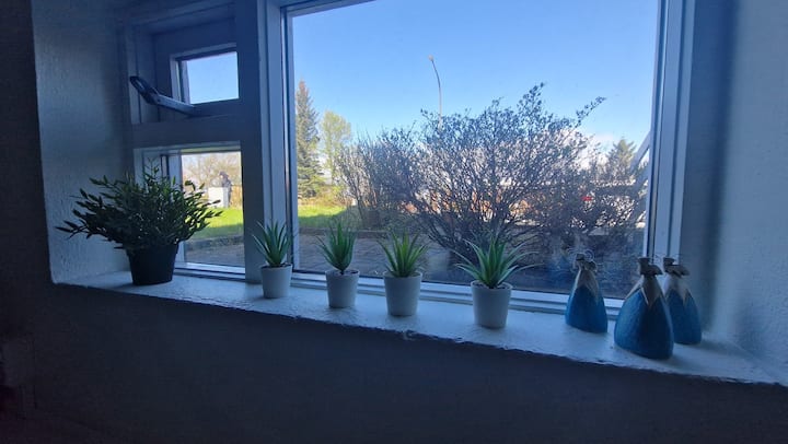 Apartment In Reykjavík - Reykjavík