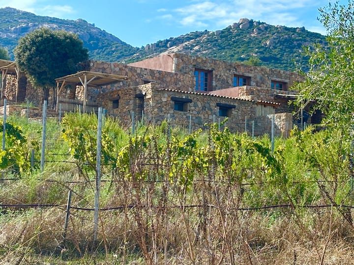 Bergerie Calvi 4 Pax - Calvi