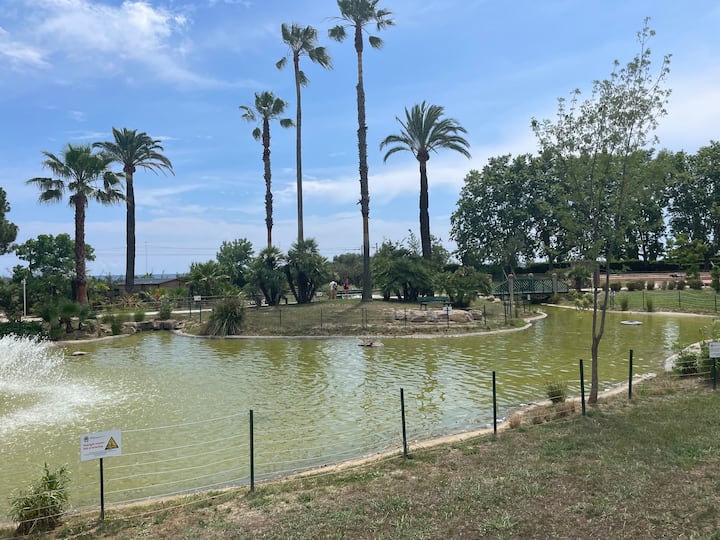 Chambre à Louer à Juan-les-pins - Vallauris