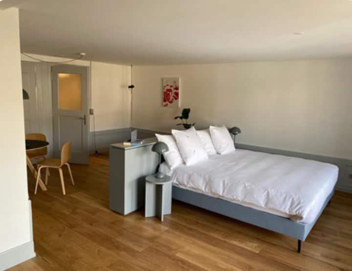 Lucienne - Freiburg