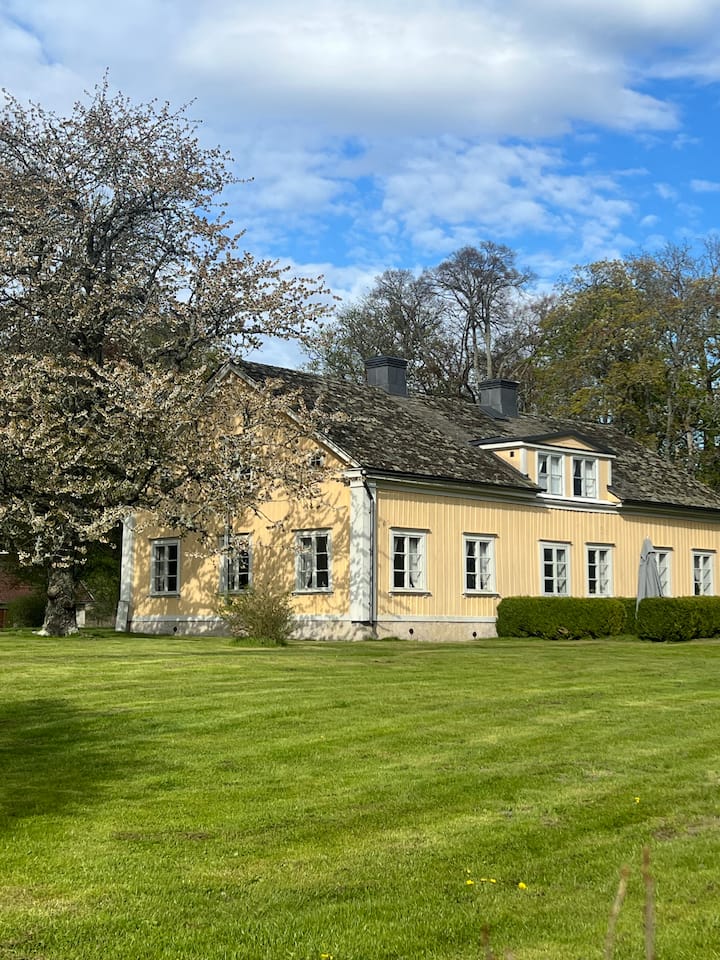 Ribbingsfors Flygel - Örebro län