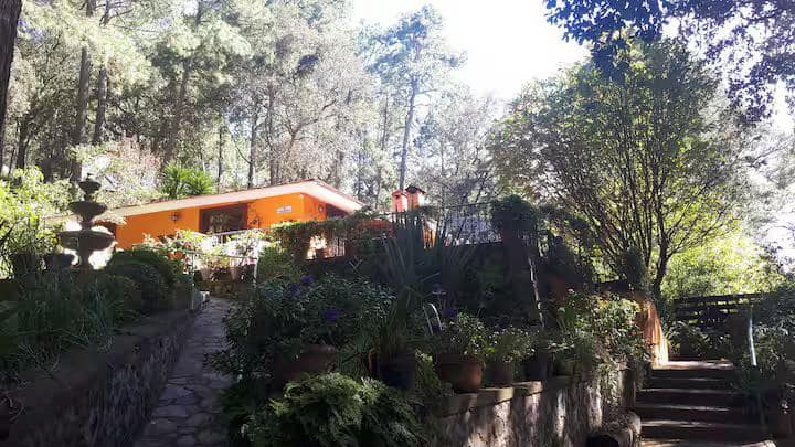Cabaña En Tapalpa En El Bosque - Tapalpa