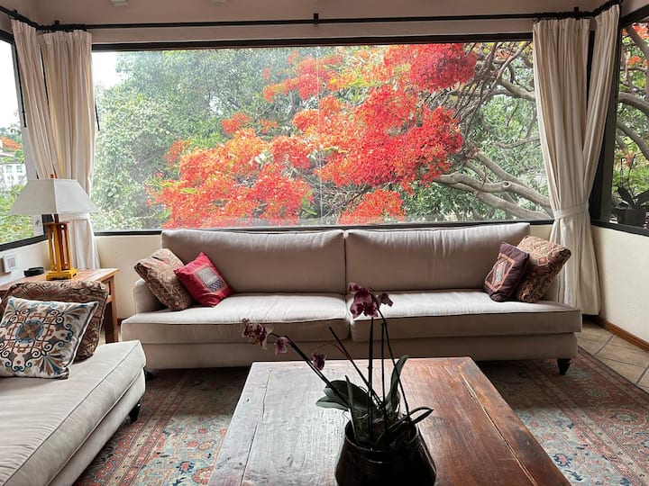 Casa Cielito Lindo - Cuernavaca