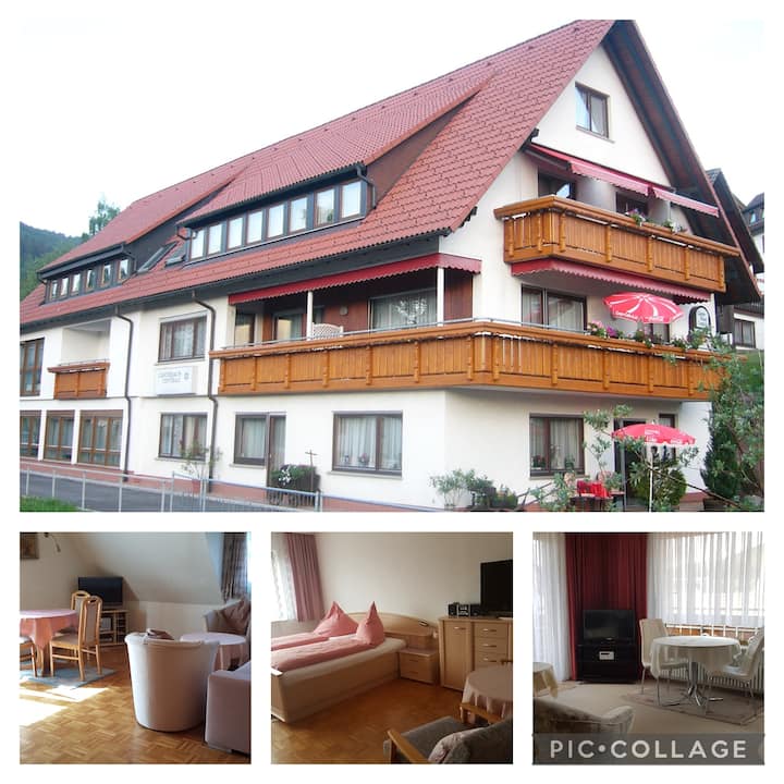 Sonnige Ferienwohnung 55qm,
2-4p - Baiersbronn