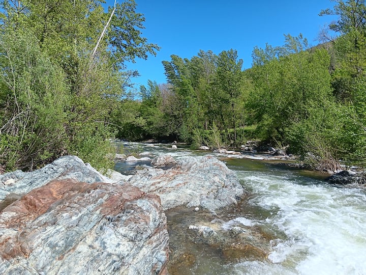 Proche Des Thermes - Arles-sur-Tech