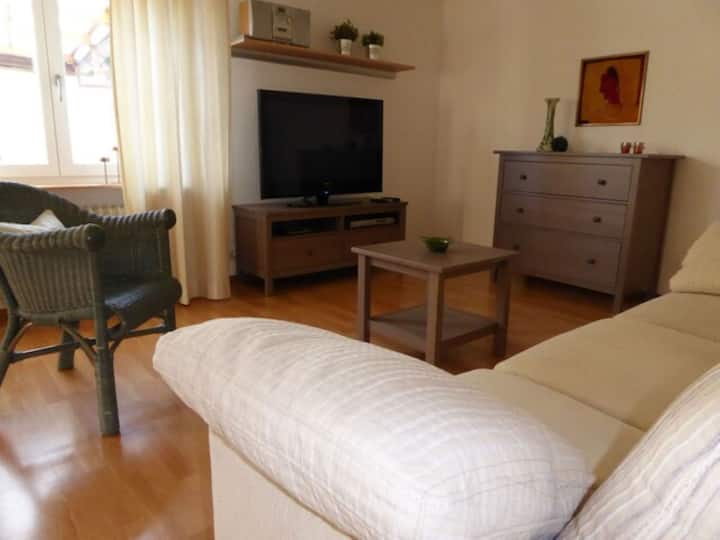 Ferienwohnung Hanna In Willstätt - Offenburg