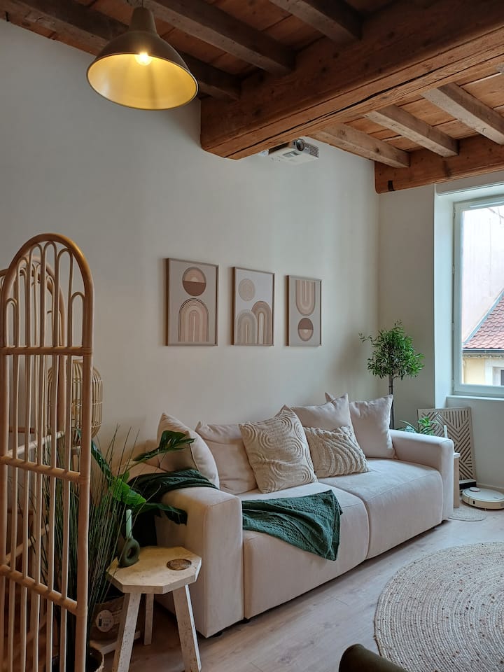 L'appartement Pasteur - Chalon-sur-Saône