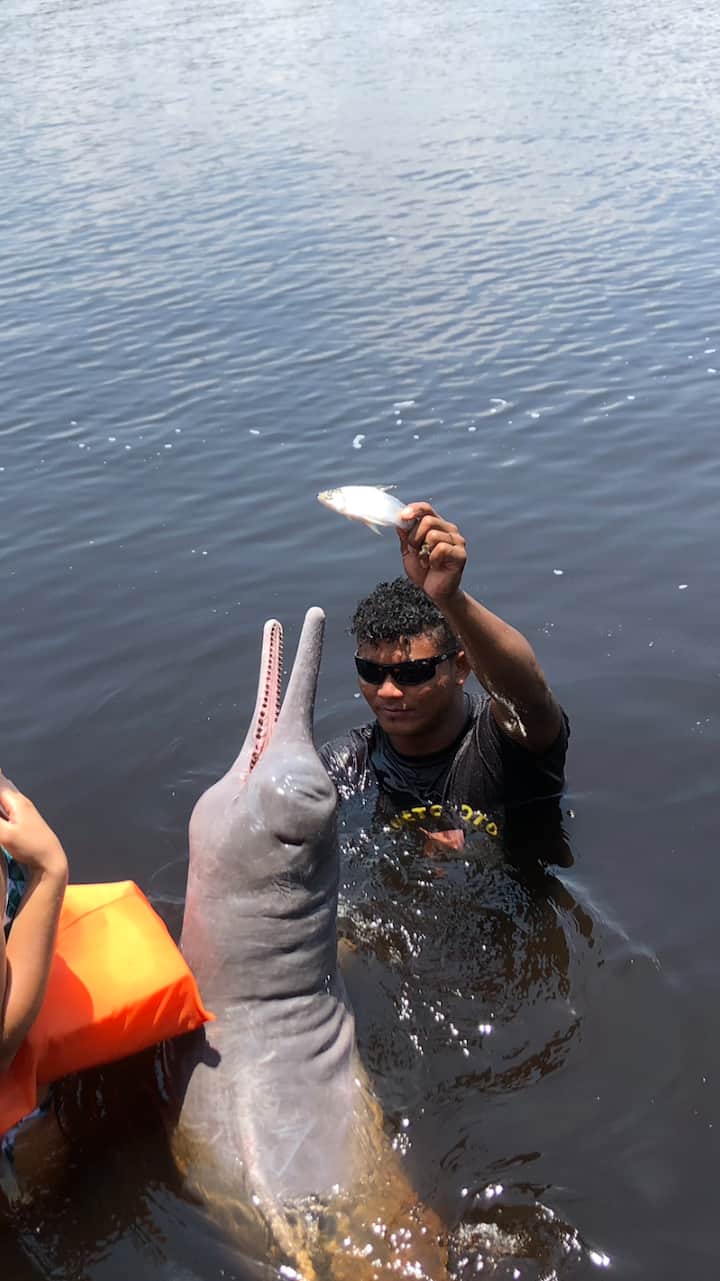 Curupira Amazon Lodge - State of Amazonas