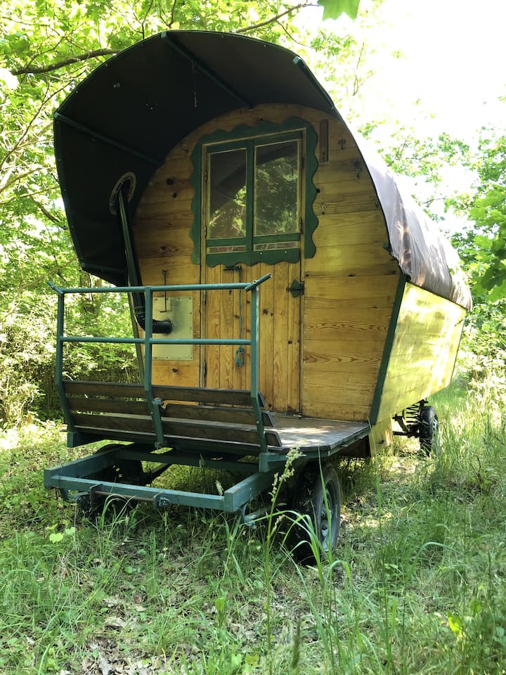 Roulotte Dans Les Bois - Oléron