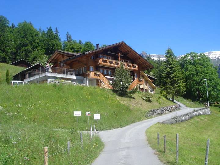 Tolle Dachgeschoss Wohnung - グリンデルヴァルト