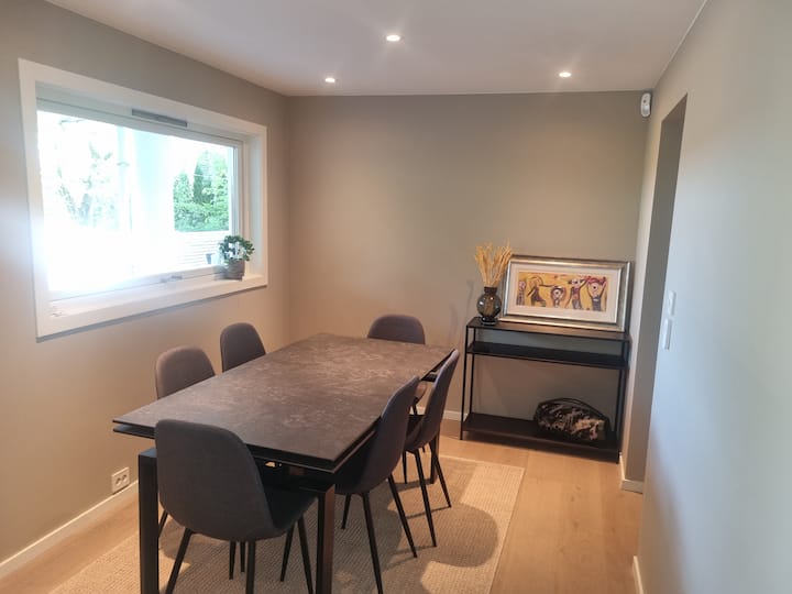 Nyoppusset, Flott Leilighet - Oslo