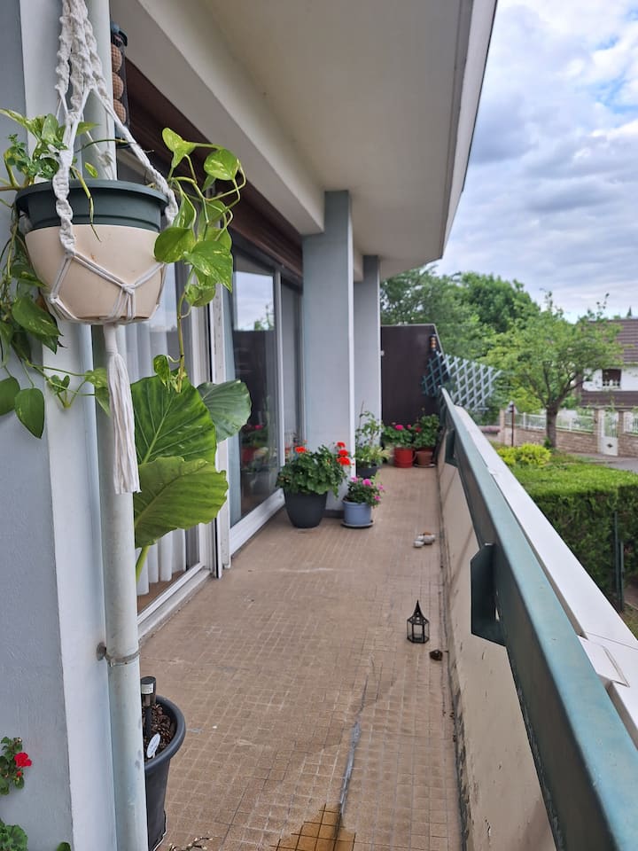 Grand Appartement Lumineux ! - Châtenay-Malabry