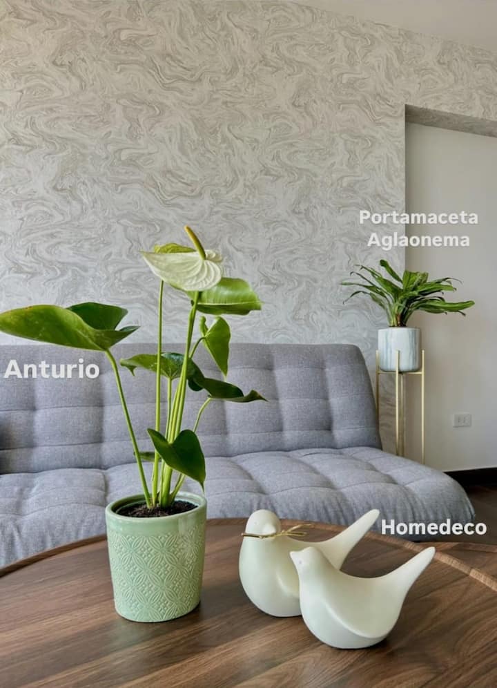 Apartamento Compartido Increible -Trujillo - Trujillo