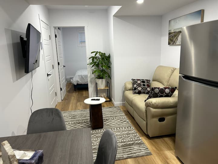 Stylish 2 Bedroom Basement - Regina