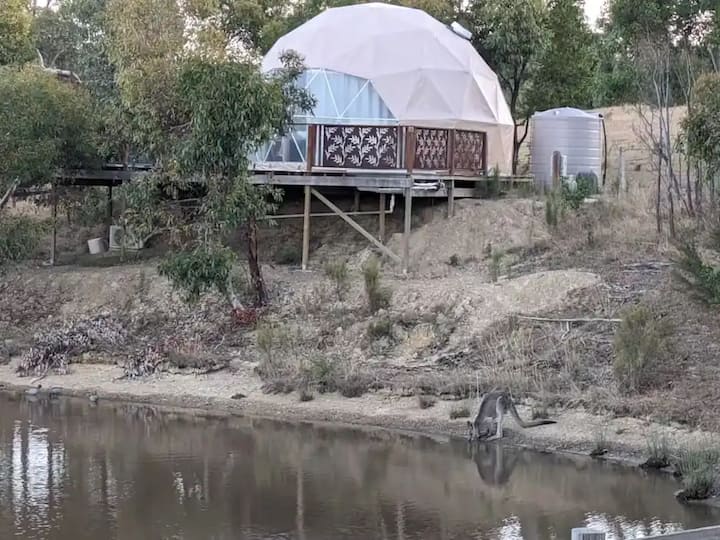 Maple Park Dome - Kilmore