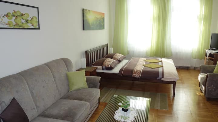 Apartmán Garden 6 Osob - Prague