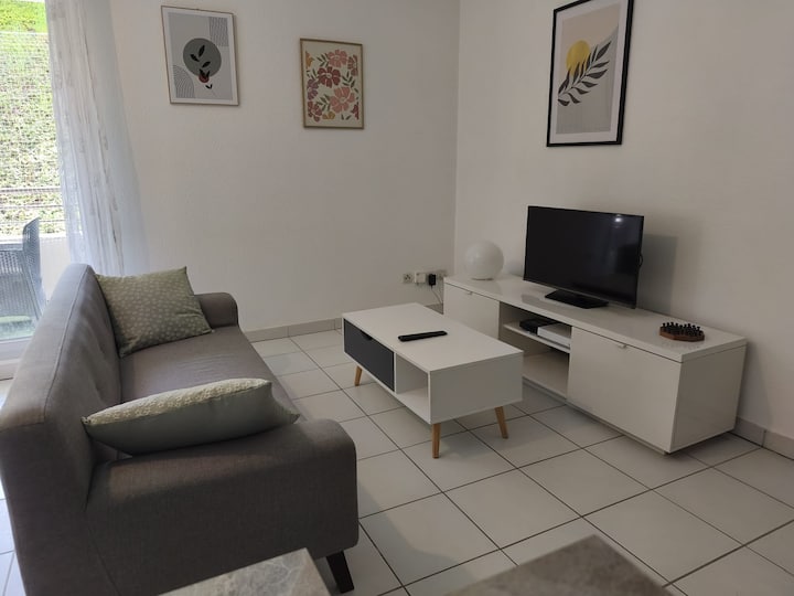 Joli T2 - Terrasse 200 M Centre - Cosy & Calme - Belley
