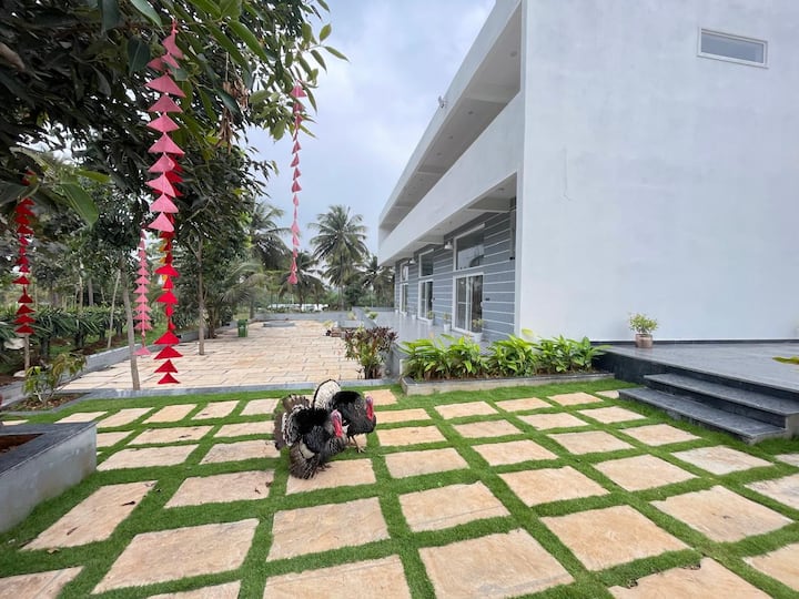 Aari Farms- The Exotic Celebrations - Ramanagara