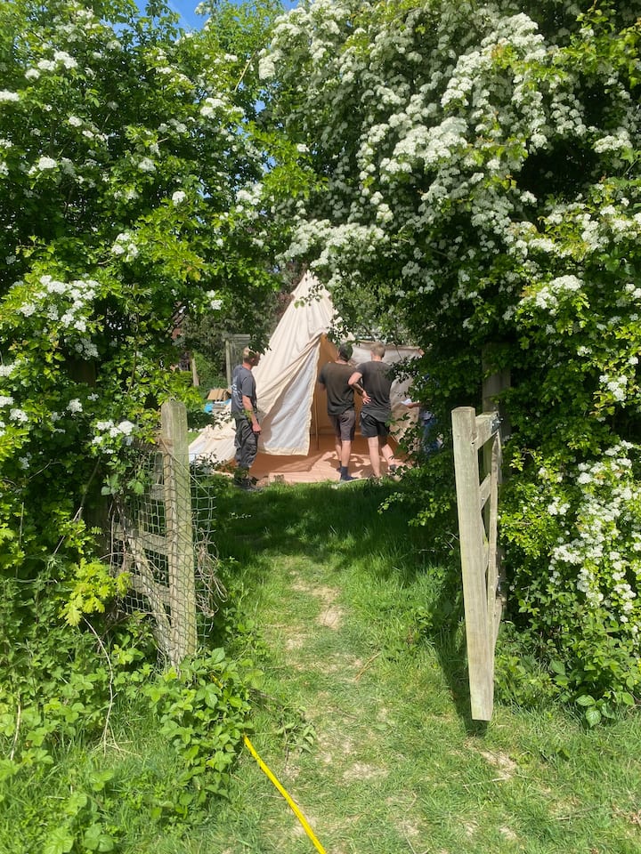 Morris Tent - Pooh, Emerson - West Sussex