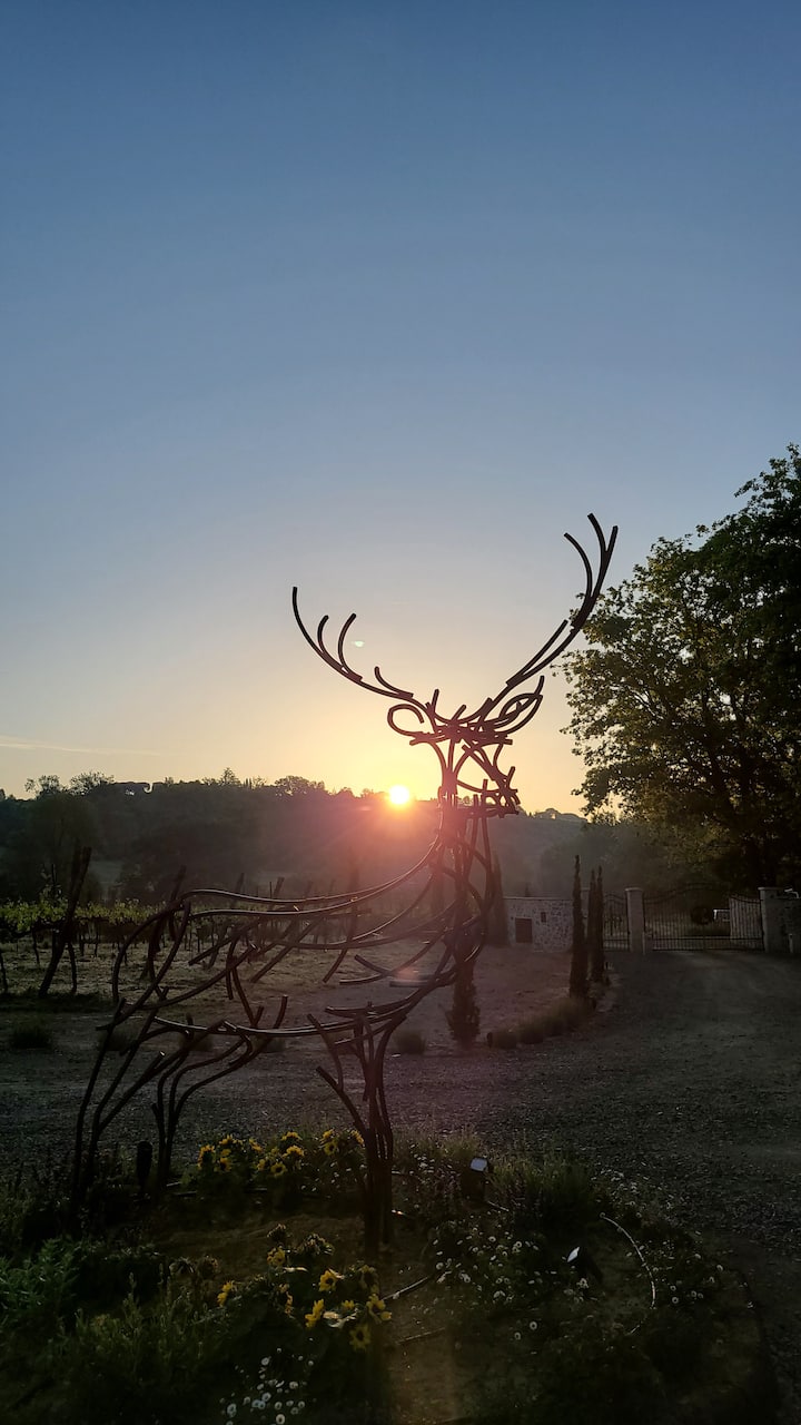 Vineyard, Perfect For Private Weddings & Events - San Gimignano