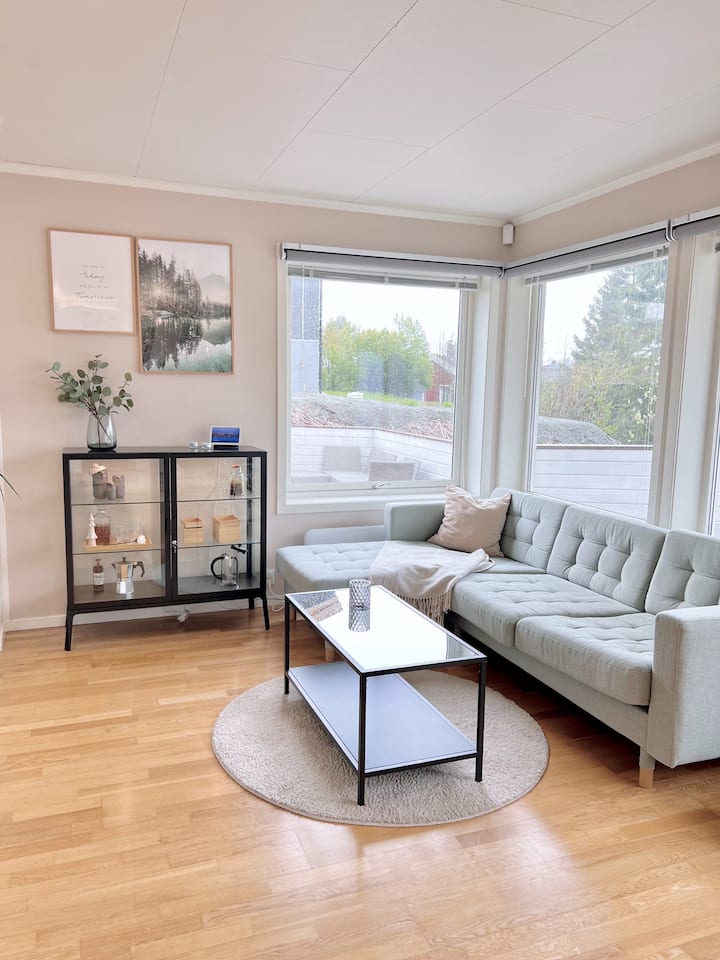 Spacious 2 Bedroom Apartment With Sunny Terrace - 特隆赫姆