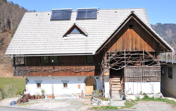 Apartment Sonca - Bled