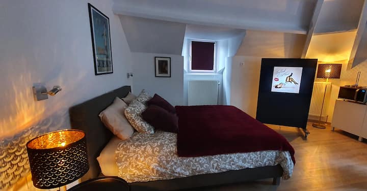 Charmant Studio Avec Grand Bain - Namur