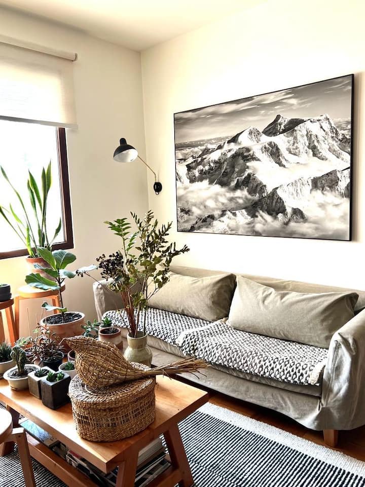 Cómodo, Luminoso Y Acogedor - Santiago