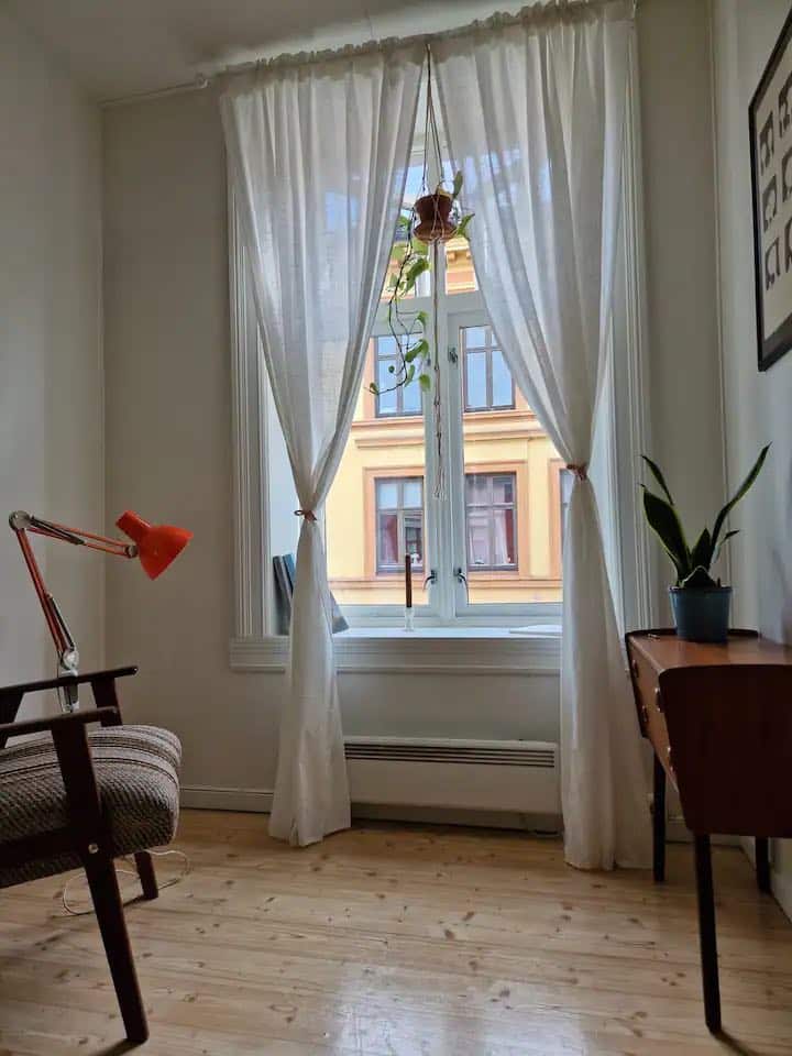 Sunny | Sentral Grünerløkka | Dog - Oslo