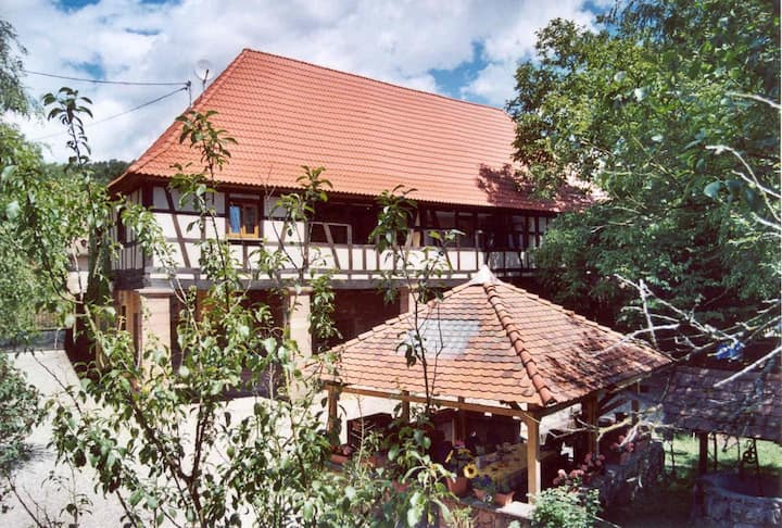 Wohnung "Cigogne" - In Alter Mühle - Musée Lalique