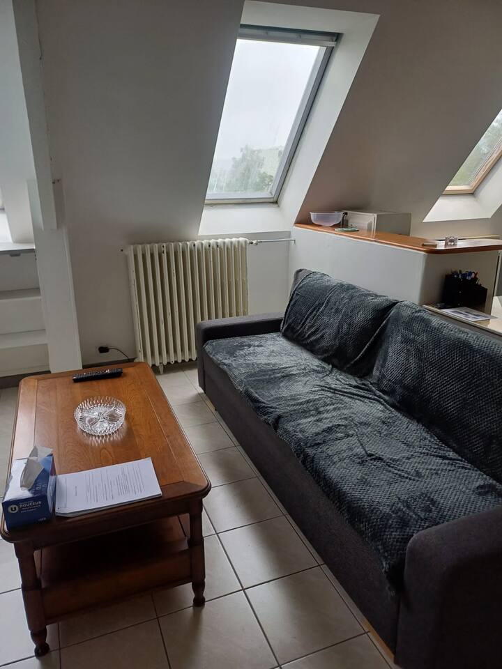 Appartement T2 Proche Des Côtes - Lannion