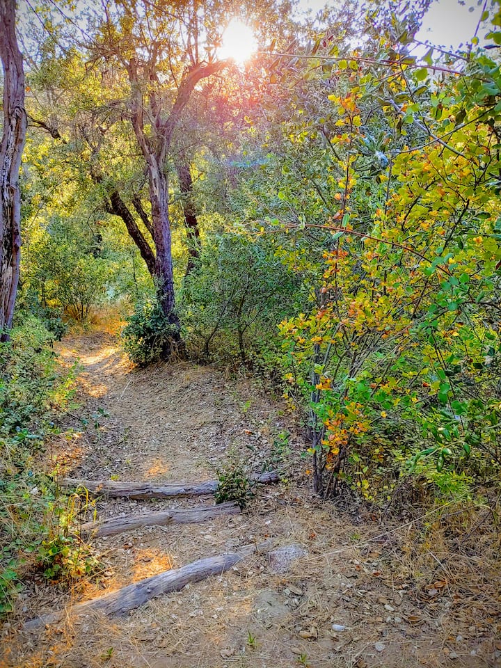 Cabin On Ten Acres & A Small Gym - Julian, CA