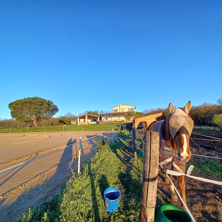 Maison Chaleureuse Et Conviviale - L'Isle-Jourdain