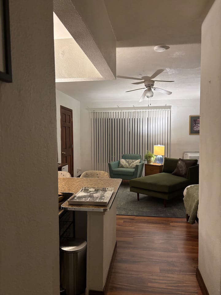 Comfortable And Convenient Loft - Indianapolis, IN