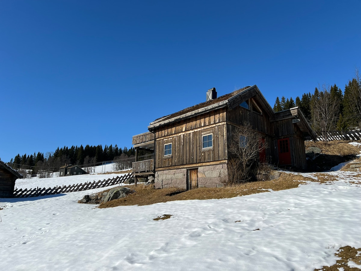 The old house at Rauland - Houses for Rent in Vinje, Telemark, Norway ...