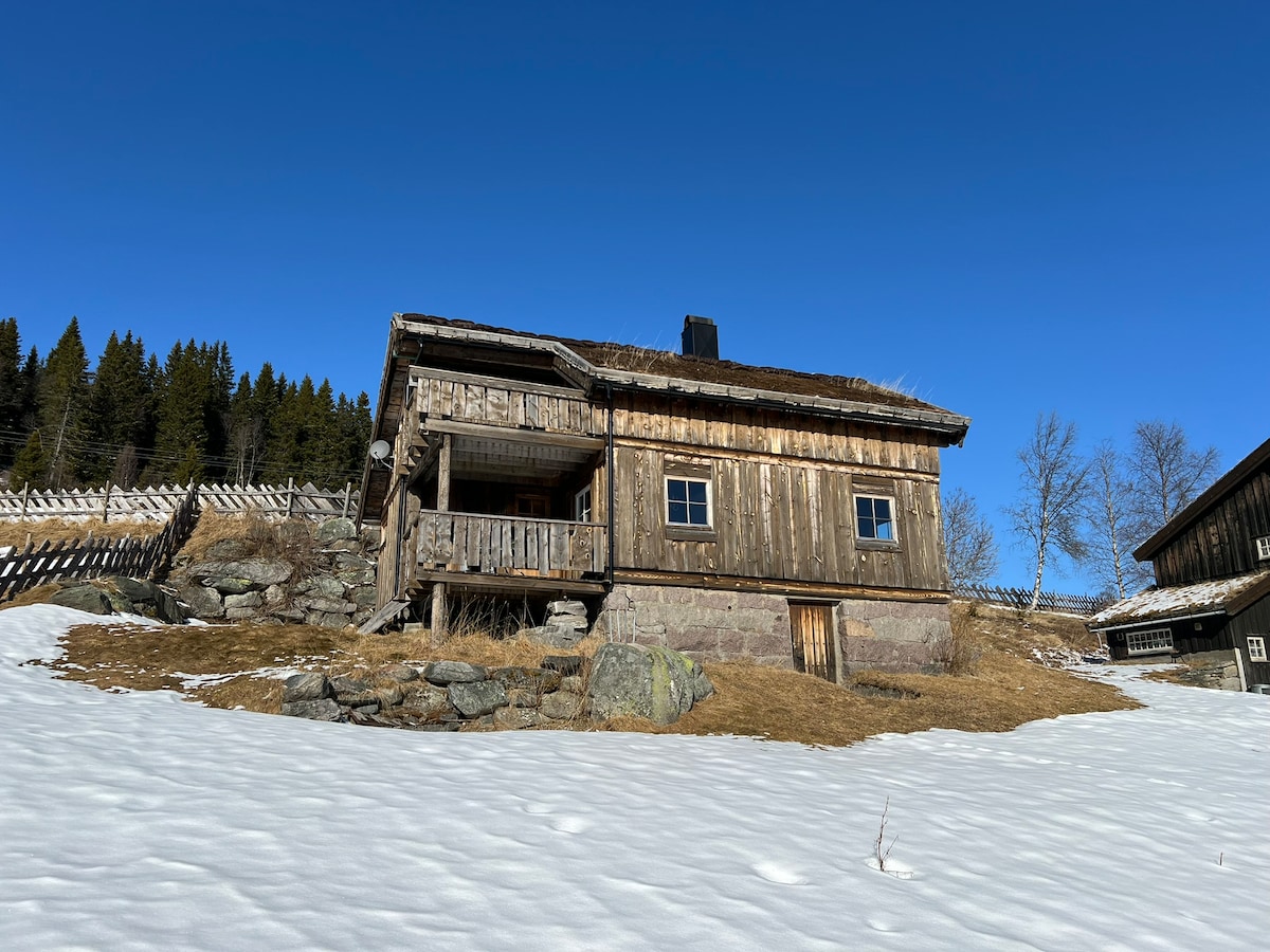 The old house at Rauland - Houses for Rent in Vinje, Telemark, Norway ...